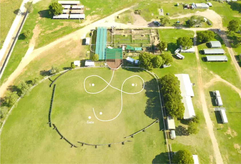 Home | Chinchilla Campdraft