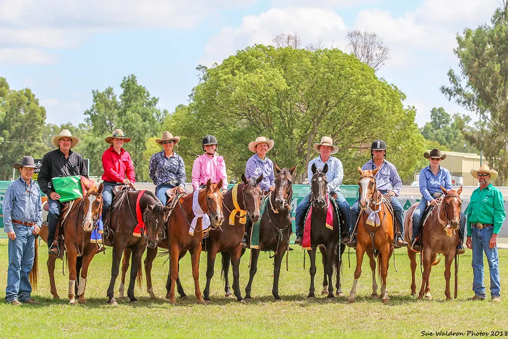 Gallery | Chinchilla Campdraft