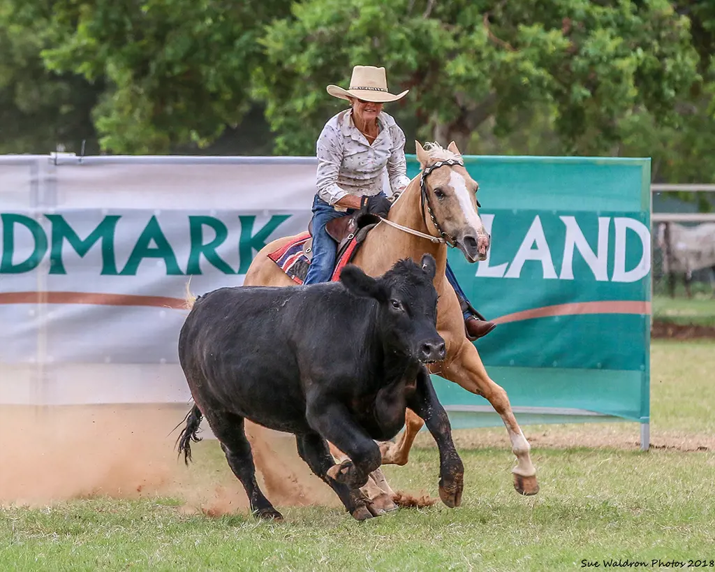 Gallery | Chinchilla Campdraft
