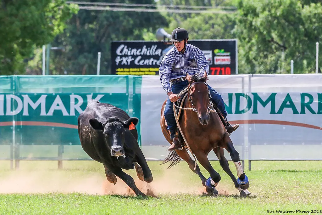Gallery | Chinchilla Campdraft